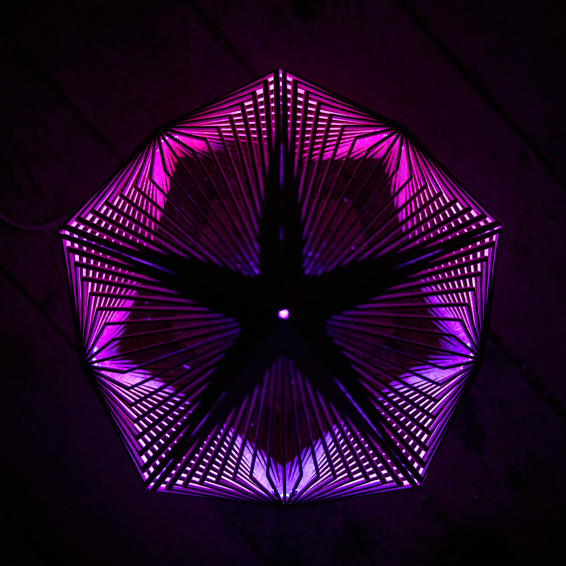 Halcyon Light | ANT1